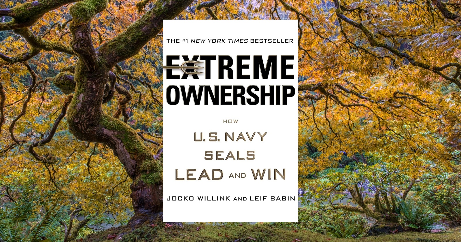 Extreme Ownership Book Summary: Leadership Lessons from Navy SEALs for ...